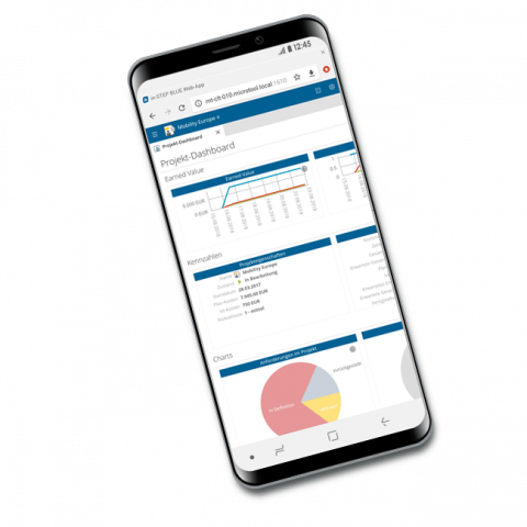 Software for Process-Based Project Management in-STEP BLUE