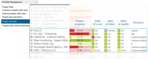 Software for Process-Based Project Management in-STEP BLUE